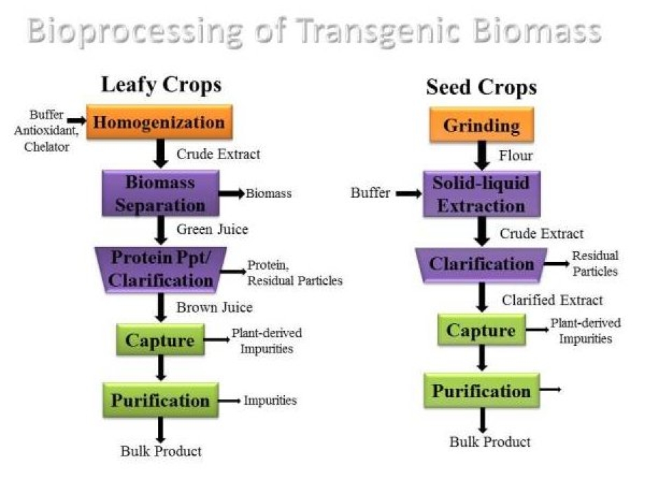 - The BioSeparations Lab