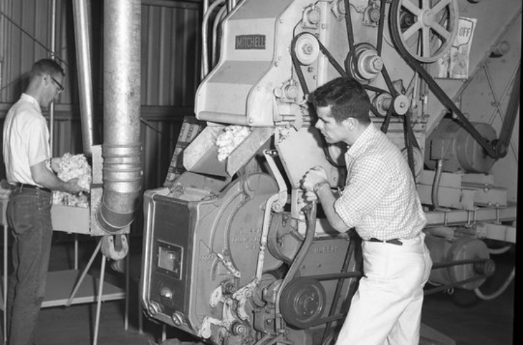 - Cotton Engineering