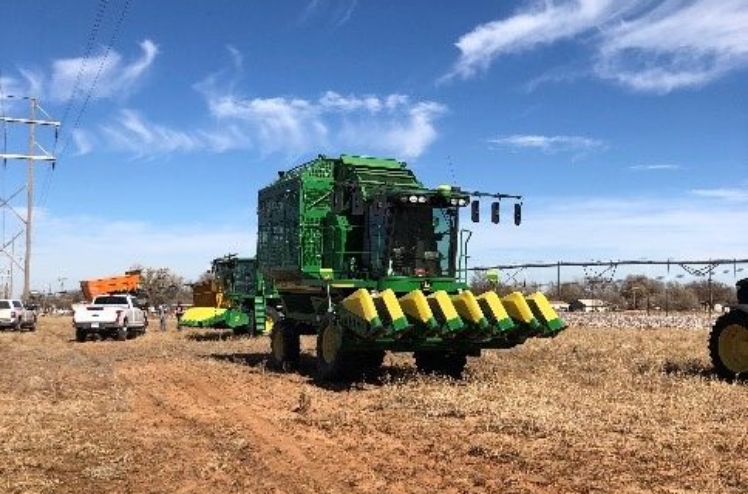 - Cotton Engineering