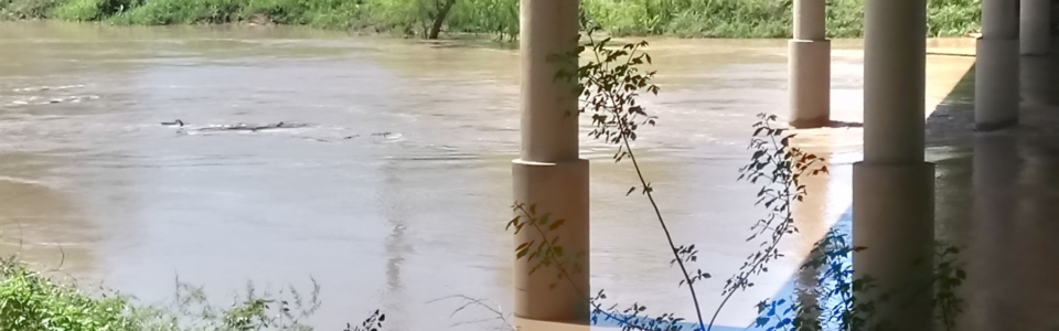 - TAMU Hydrologic Modeling Inventory