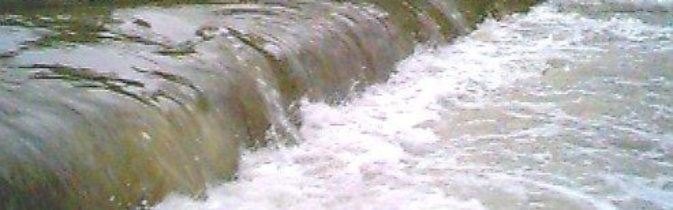 Hydraulic models - TAMU Hydrologic Modeling Inventory