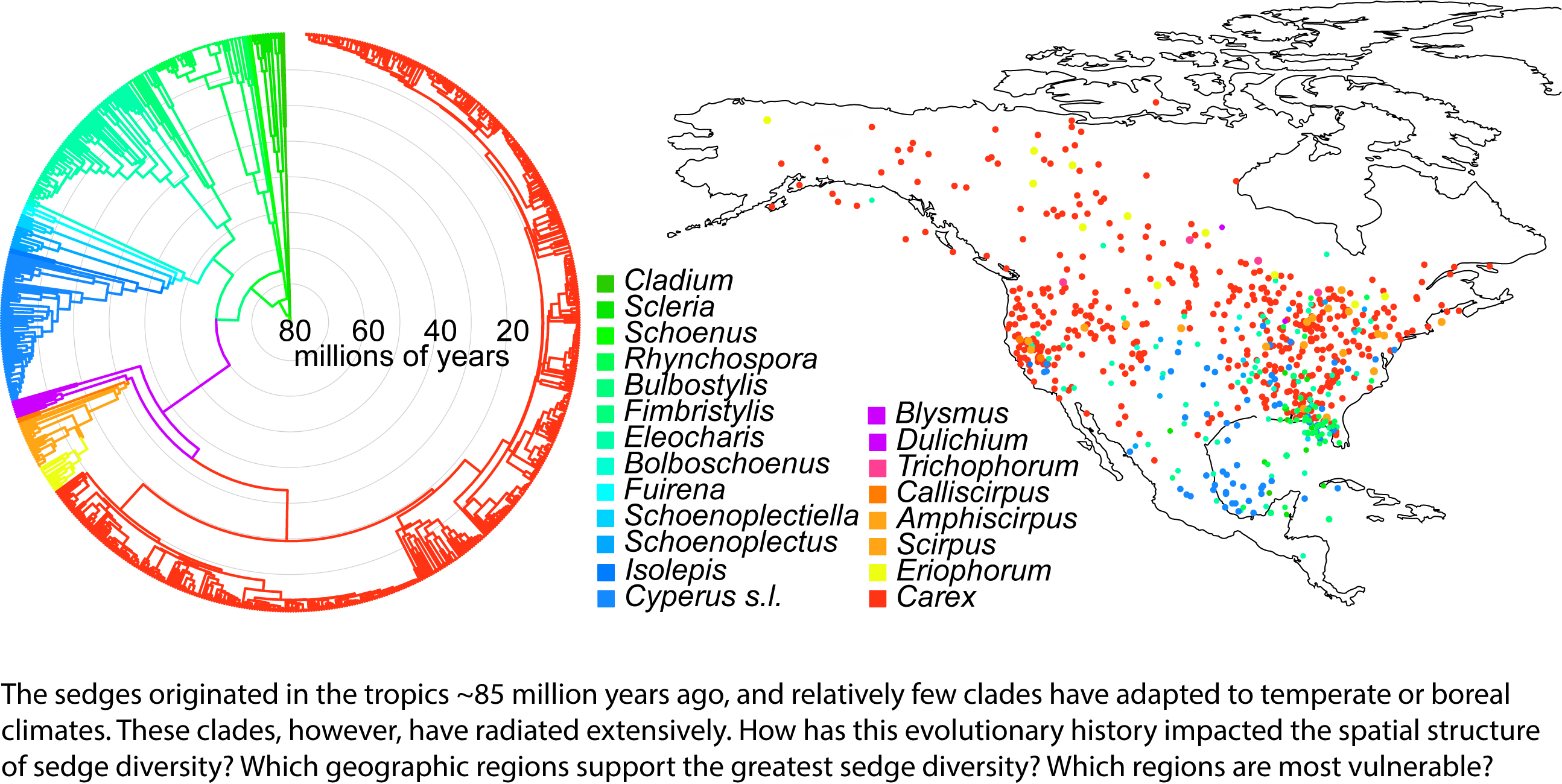 Spatial Phylogenetics