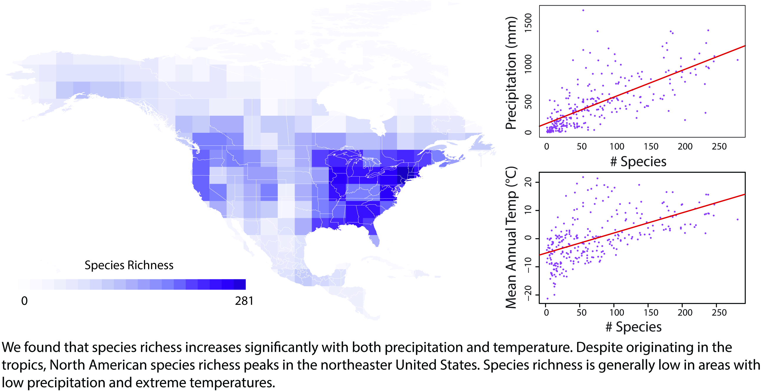 Spatial Phylogenetics